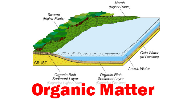 Examples Of Organic Matter